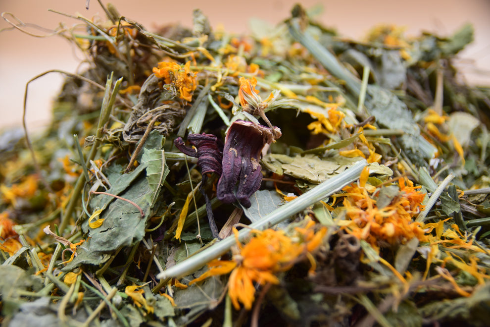 Ultimate Sample Box – Furry Forage